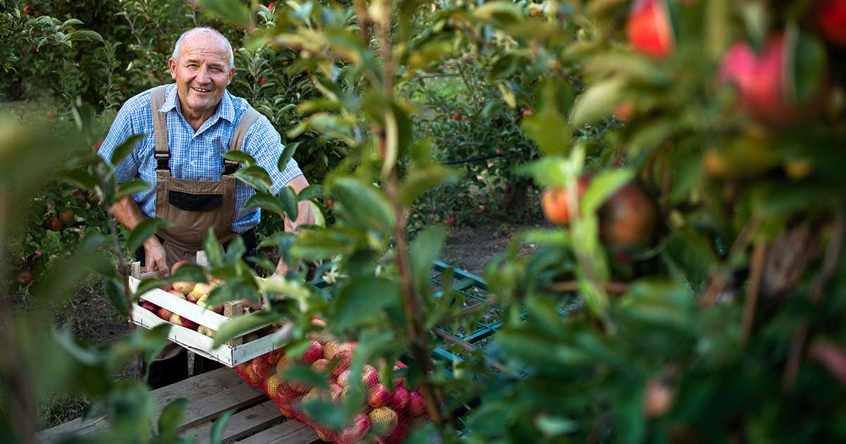 Differences and Significance between Organic and Conventional Farming ...