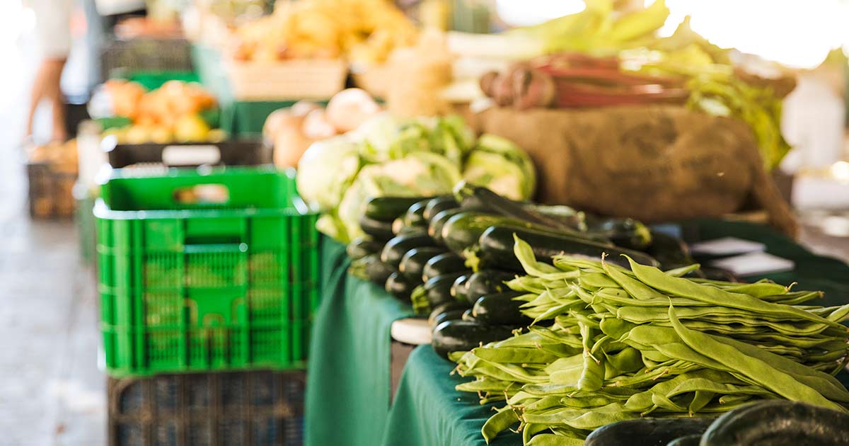 Plant-Based Food & Environment: A Special Guide for Plant-Based ...