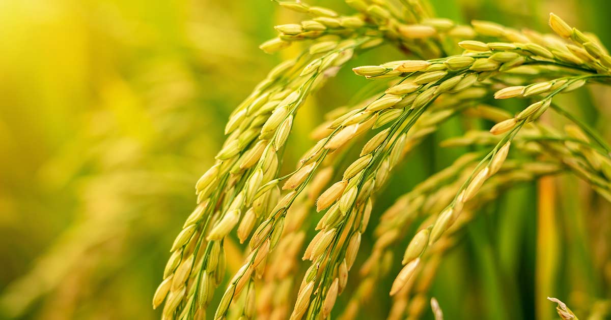 Contact Us Get In Touch For Support Miditer